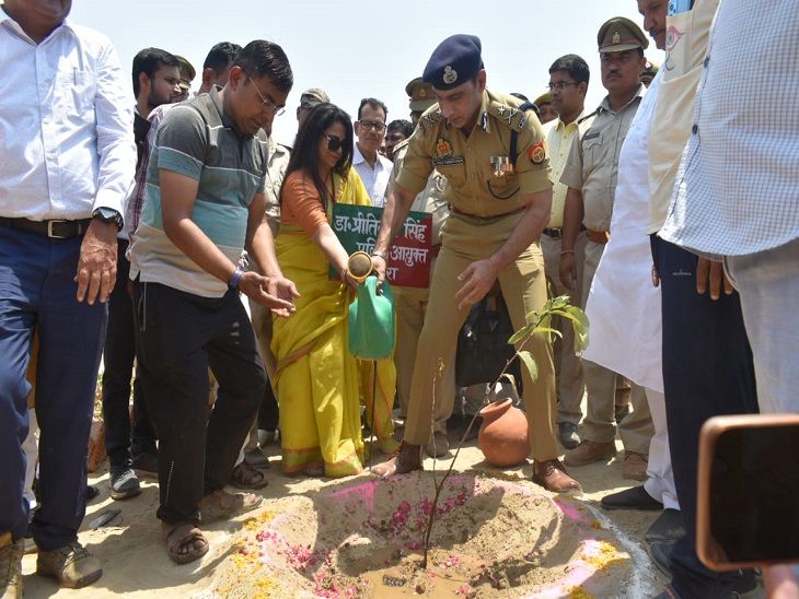 Pledge to protect trees by organizing rallies and conferences | विश्व ...