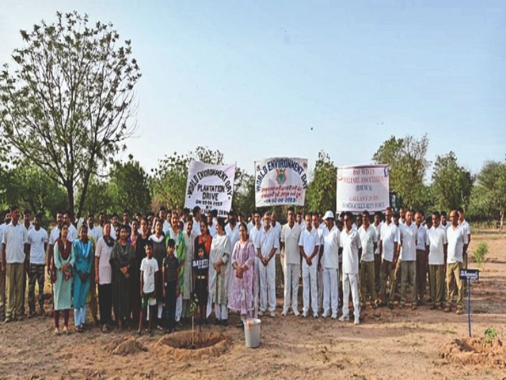 Plant trees on a large scale for environmental protection: Bhatti ...
