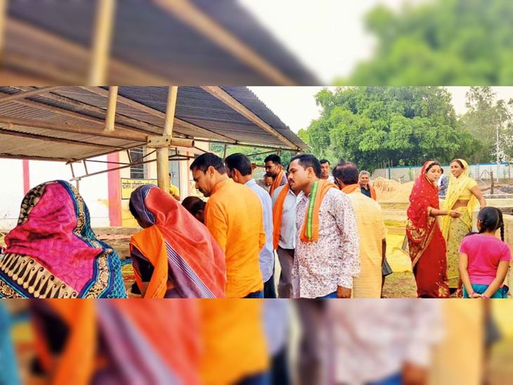 Cow dung reaching Tarra Gauthan from Utai's dairy: Chandrakar