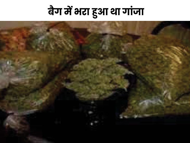 Haryana Rewari City Police Raid Drug Smuggler Arrested 525 Grams Ganja ...