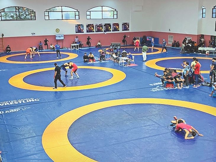 9 out of 12 wrestlers from Haryana were selected in the selection ...