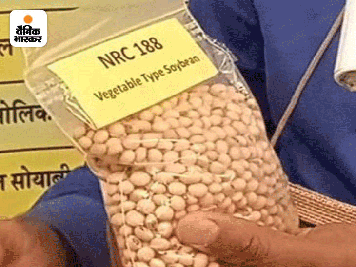 Will be able to eat it like peas, it will get 13 times more protein ...