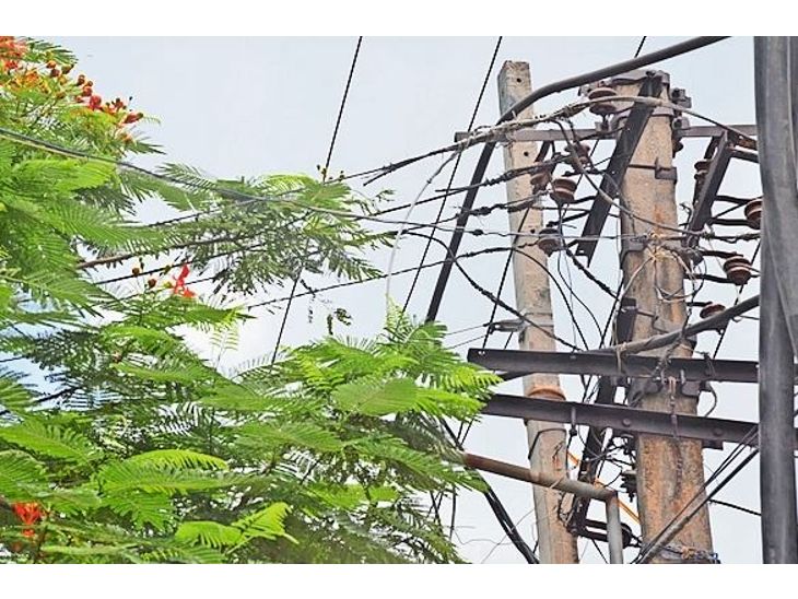 Branches above the wires, many poles bent, sleep broken after seeing ...
