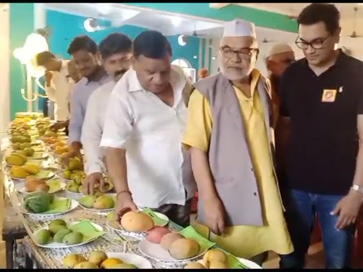 Special style of every mango, gardeners set up stalls in the exhibition ...