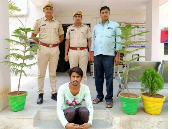 One accused of Bawri gang arrested, search continues for 5 others | चलते ट्रकों से जीरा चोरी ...