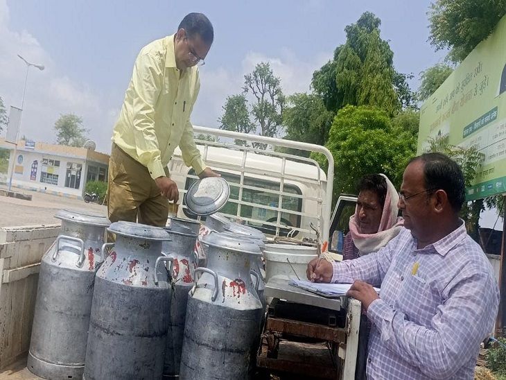 240 liters of adulterated milk destroyed, five challaned under Kotpa Act