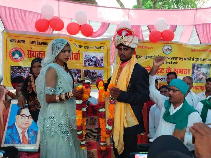 A woman sitting in protest for 9 months married her granddaughter in ...