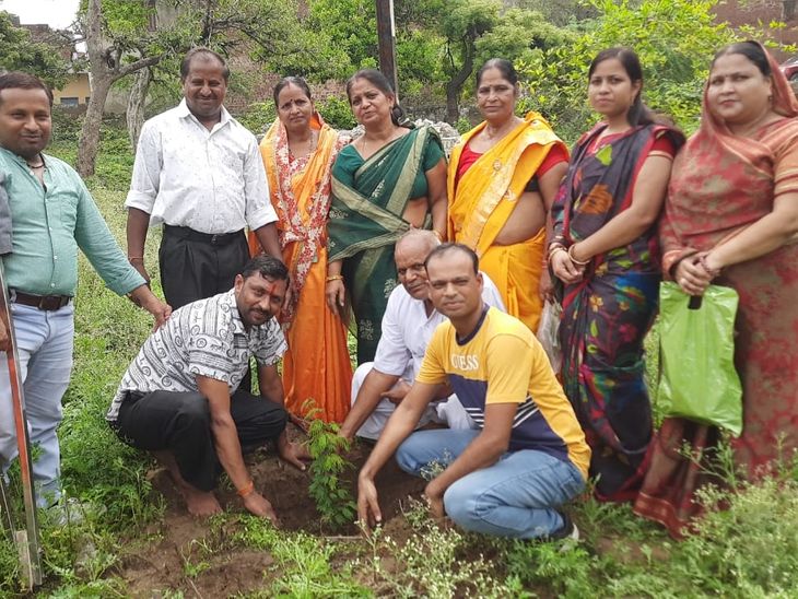 Message given to save environment by planting fruitful and shady trees ...