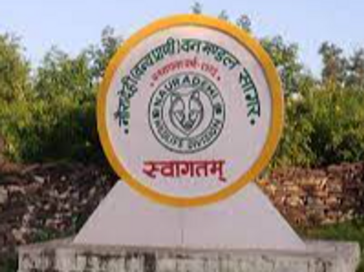 Ban imposed for 3 months in rainy season, now after October 1 you will ...