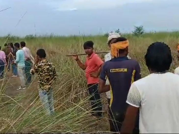 Villagers in panic, had hunted a calf in the forest of Nizampur