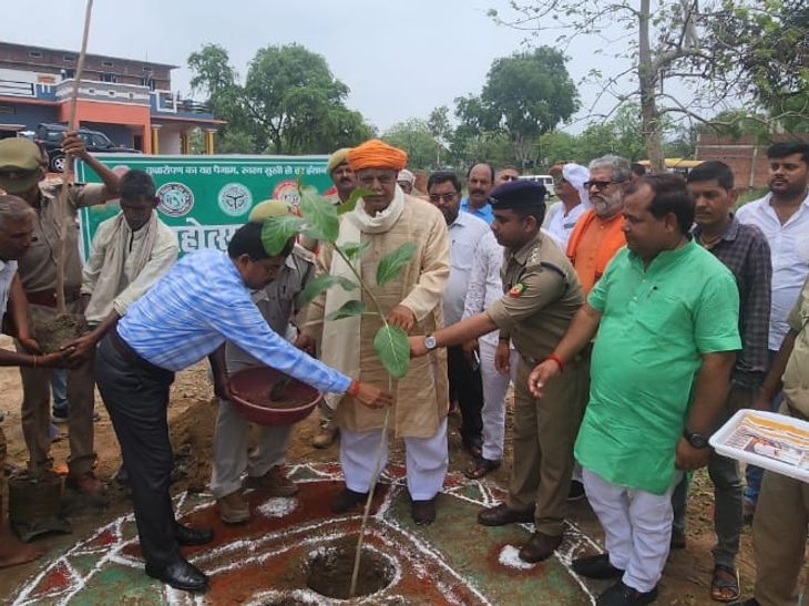 Harishankari plants planted under Van Mahotsav, distribution of ...