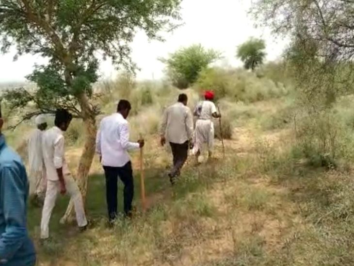 Panic in the village, villagers are searching for Leopard at their own ...