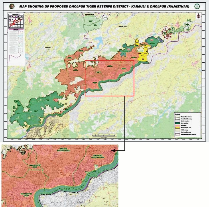 Map of Dholpur's Tiger Reserve Corridor released, 50 villages will be ...