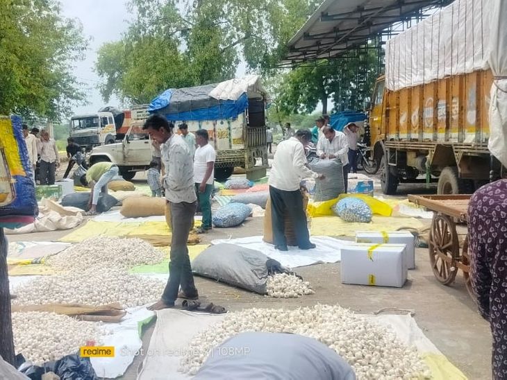 Indigenous garlic sold at Javra's sub-market Piploda for Rs 18 thousand ...