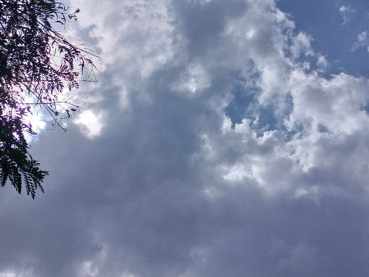 Monsoon became weak, as soon as the rain stopped, the condition ...