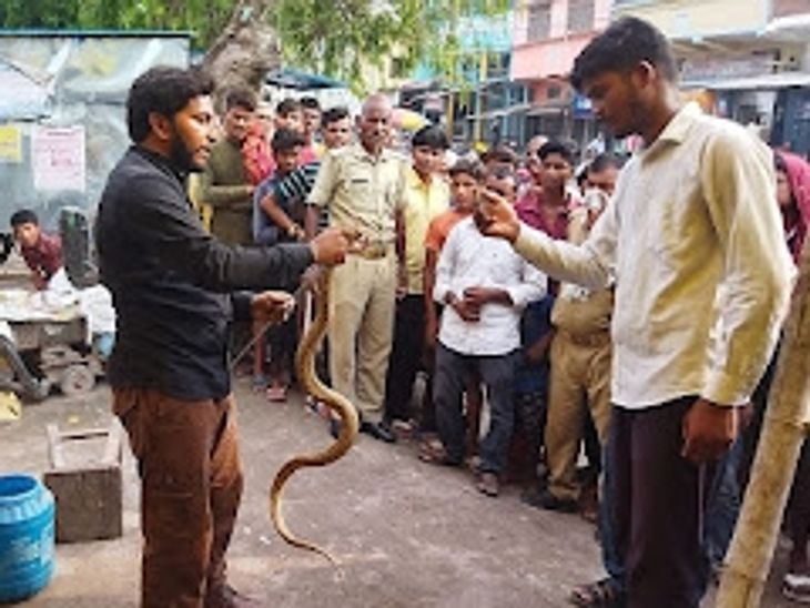 Open lock of two shops under police supervision in Ballia; 1 snake ...