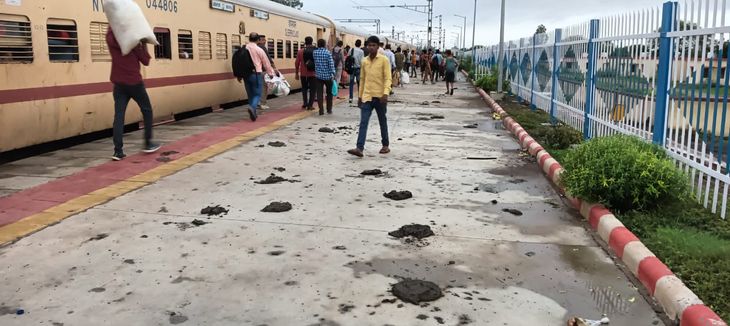 Cattle roaming at the railway station, dirt keeps spreading in the ...