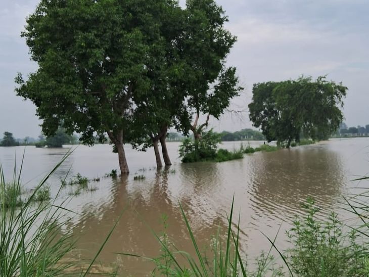 Release of water from Haryana's Hathini Kund barrage worsened the ...