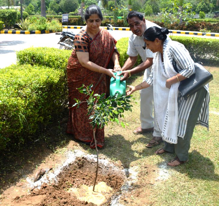 Saplings are very precious, protect them with determination by planting ...