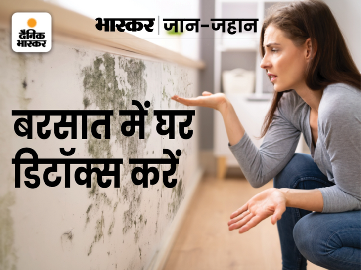 Vinegar, salt, neem leaves remove dampness-smell; Make roof waterproof ...