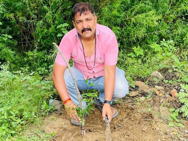 Total benefits of 5 crore rupees from one tree, trees give oxygen worth 30 lakh rupees every ...