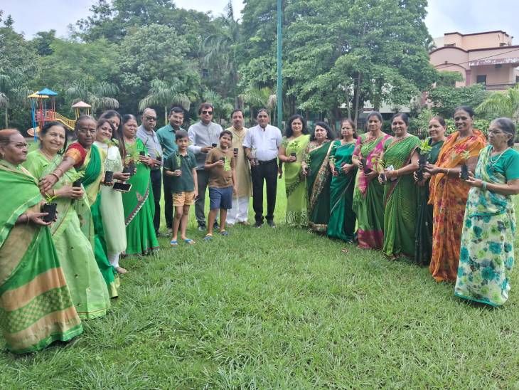 Planted 50 medicinal plants in the garden, councilor said - environment ...