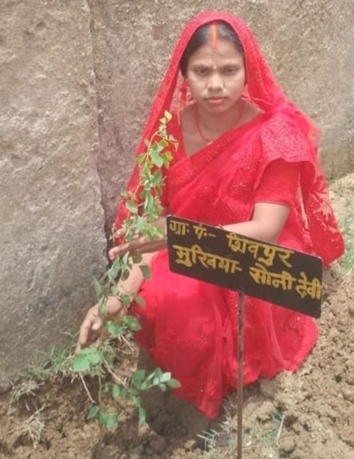 The chief and others planted saplings at the mini secretariat | मिनी ...