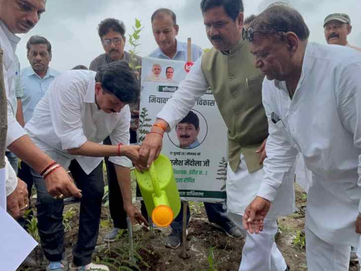IDA will plant 35 thousand saplings