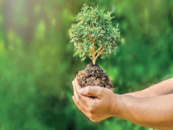 One student, one tree campaign will run in institutions and basic life ...