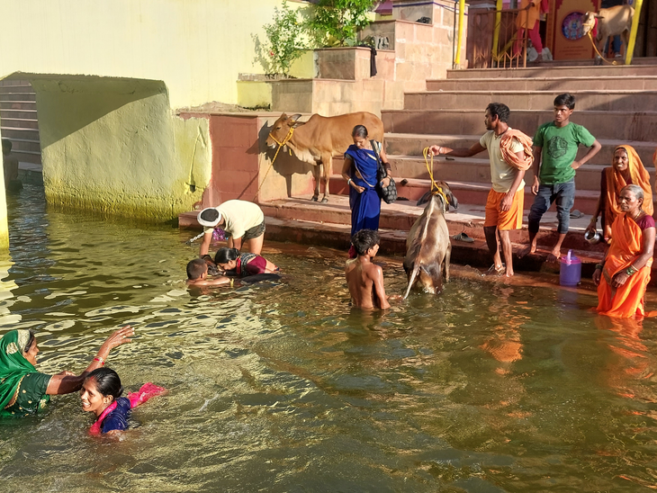 Crossing the Bhavsagar by holding the cow's tail in Nalanda leads to ...