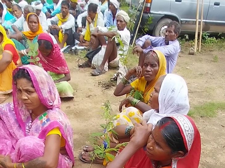 Initiative of tribals to save environment. Distribute seeds and kernels ...