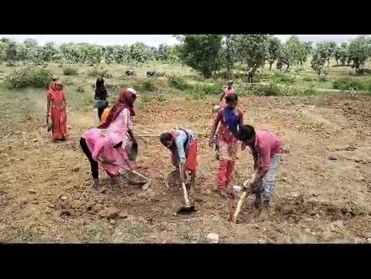 Under MNREGA wages are being made from minor children