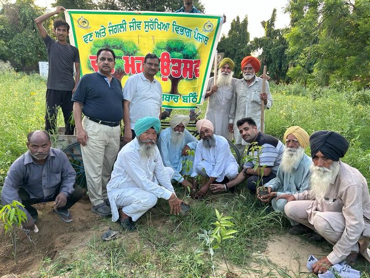 Van Mahotsav celebrated in Ram Bagh of Dhanaula | धनौला के राम बाग में ...