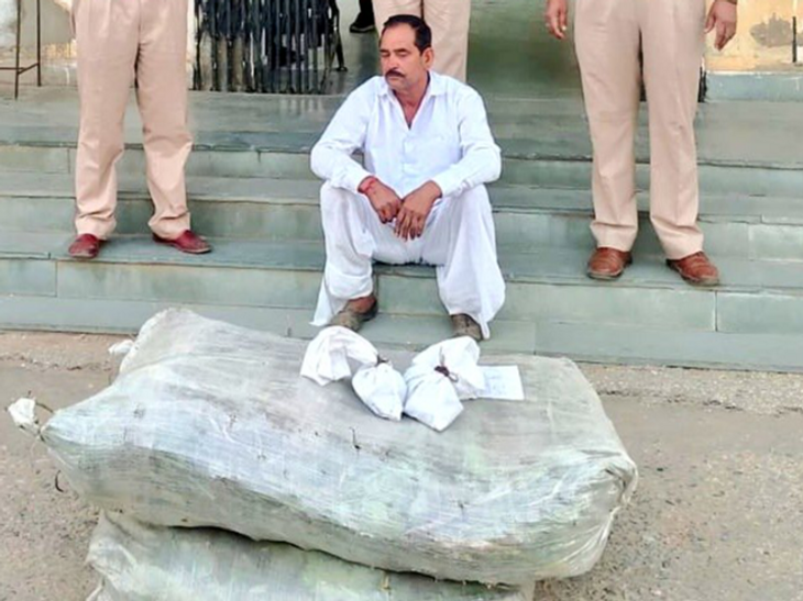 The recovery of 24,985 plants of opium-doda looted applause, thousands ...