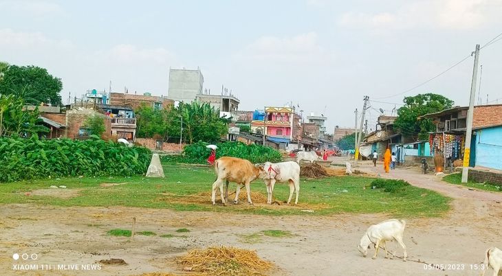 Encroachment continues on the Indo-Nepal border and No Man's Land, even ...