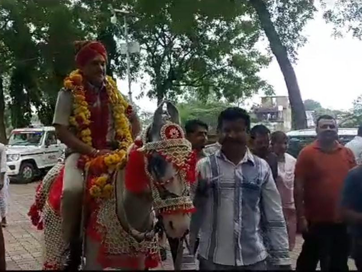 Bindoli taken out with music | थानाधिकारी को घोड़े पर बिठा कर दी विदाई ...