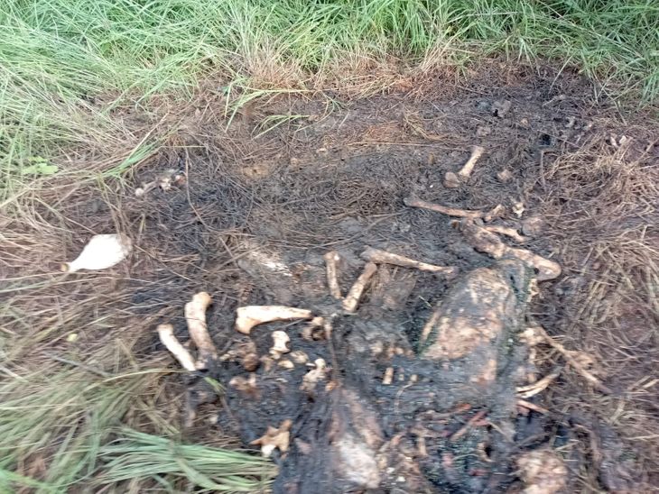 The dead body found in rotten condition was cremated; Cause of death ...