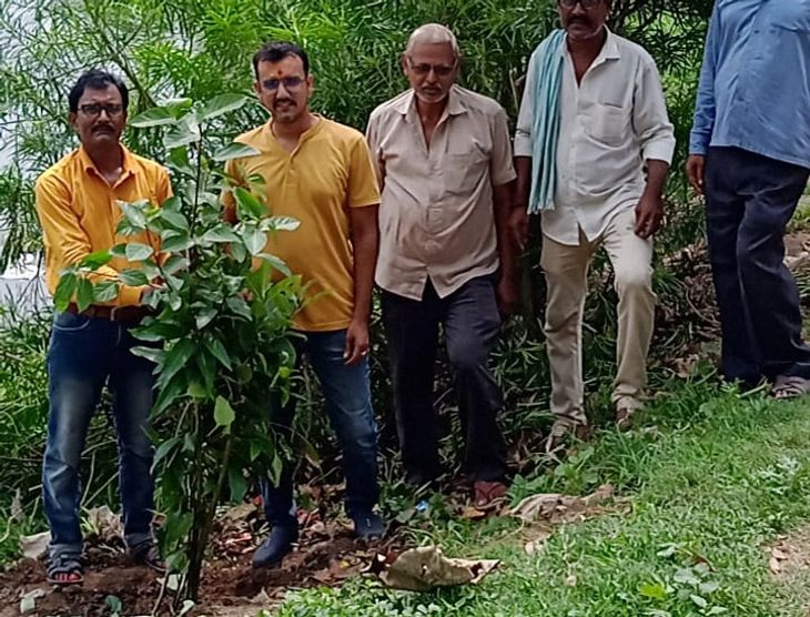 Plantation of Panchpallav tree near Shiva temple located at Naya Talab ...