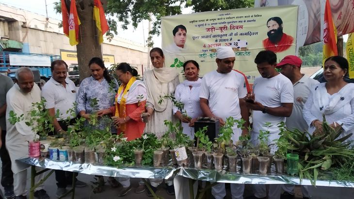 Herb Day celebrated by distributing medicinal plants | औषधीय पौधे ...