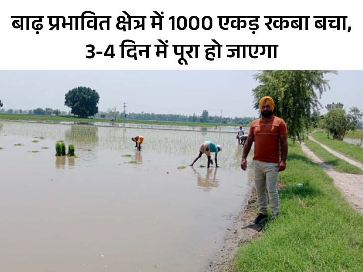 Jalandhar Flood Affected Area Farmers re-transplant Paddy Crop ...