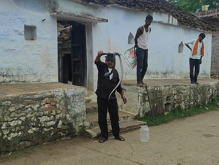 5 feet long cobra entered the house in Sagar | सागर में घर में घुसा 5 ...