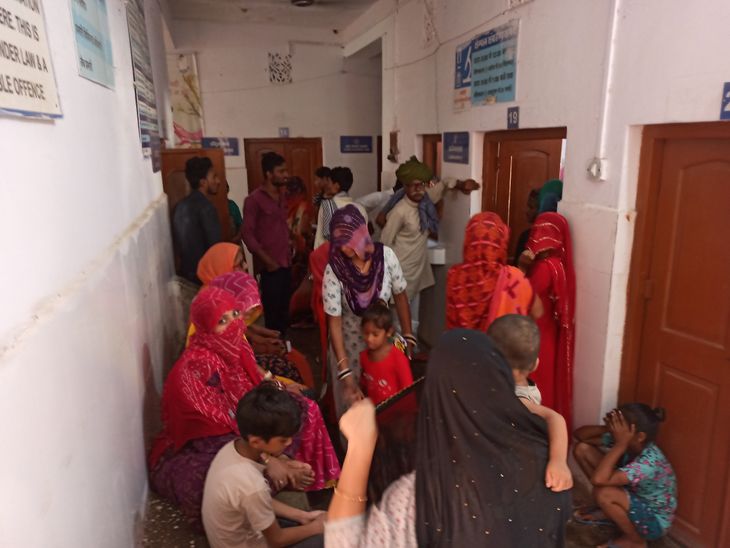 Dengue havoc in Ladnun | लाडनूं में डेंगू का कहर: चिकित्सा विभाग कर रहा ...