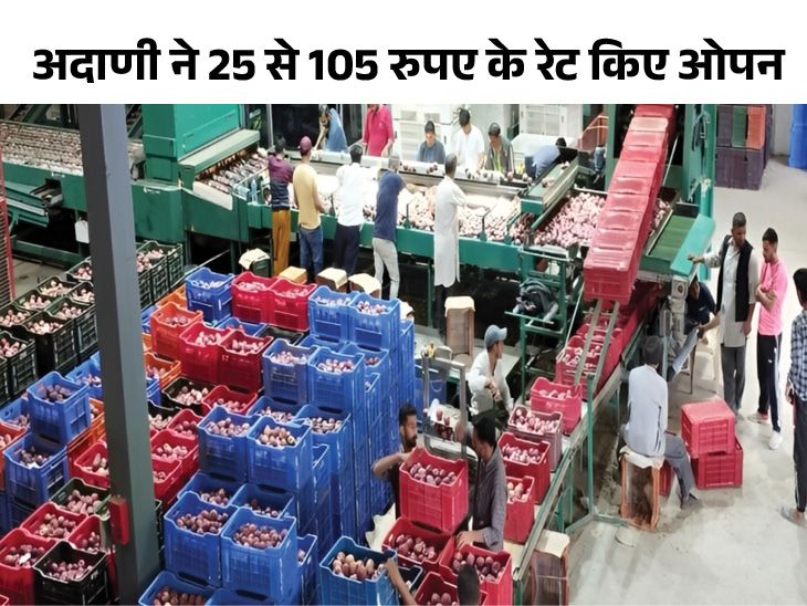 Shimla: Adani opens apple rates; Less price | Apple growers furious ...