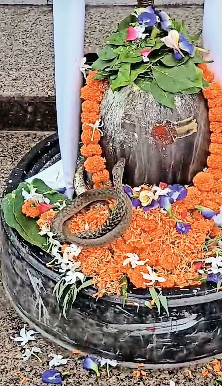 Nag Devta appeared on Shivling in Shri Peeth Mandir in Defense Colony