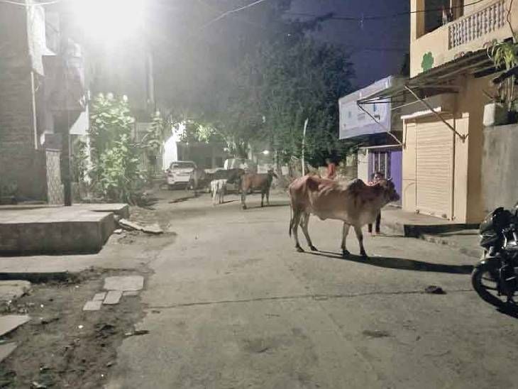 Dream of coming number one in cleanliness | स्वच्छता में नंबर वन आने के ...