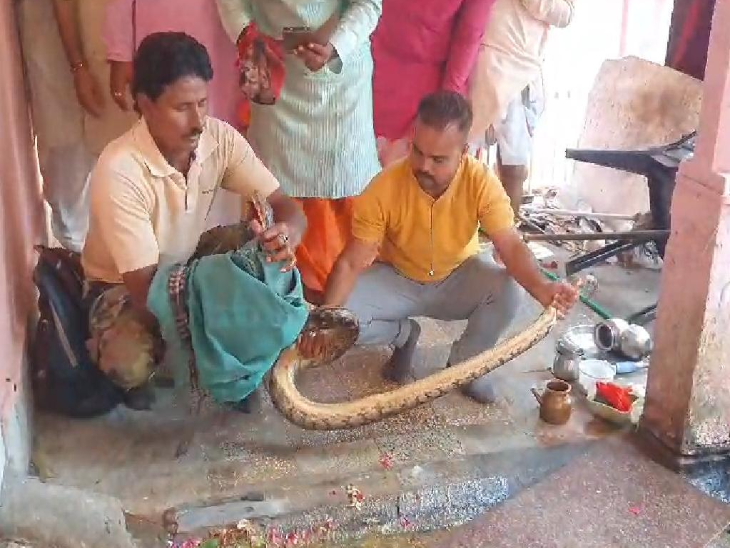 Rajasthan kota The priest doing Abhishek in the temple, senses flew ...