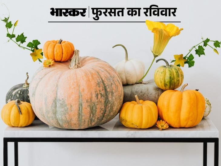 Pumpkin's Journey: From America to India, Exploring Its Healing Powers ...