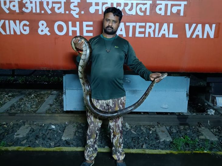 Python rescued in New Yard diesel shed | न्यू यॉर्ड डीजल शेड में ...