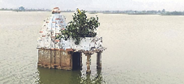 Peepal tree grew on the top of the temple, cracks appeared in the walls ...