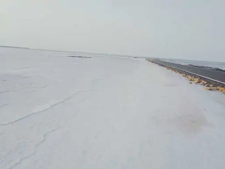 kutch ka rann is rady before one and half month | खिलने लगा कच्छ का रण ...